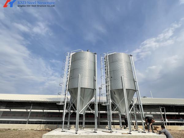 Quality KXD Automatic Steel Structure Poultry Shed Equipment For Broilers / Layers for sale