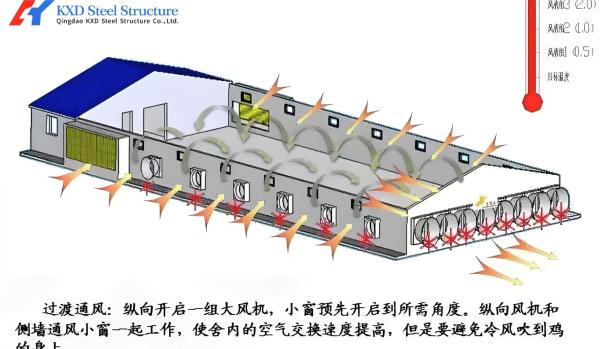 Quality Broiler Breeder Raising Growing Equipment System Plant Line Layer Floor Farming for sale