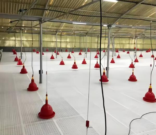 Quality KXD Broiler Poultry Equipment Automatic Poultry Farm Plastic Slatted Flooring for sale