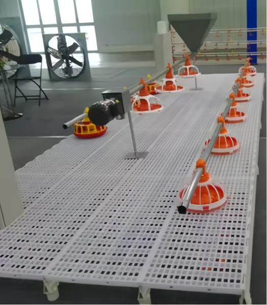 Quality Anti Rust Broiler Pan Feeding System Automatic Plastic Slat Floor For Poultry for sale
