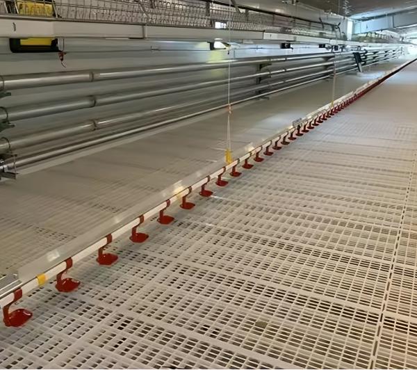 Quality Broiler Farm Plastic Slatted Dung Leaking Board Poultry Slat Floor For Chicken Chick Duck Goose for sale