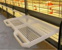 Quality Anti Rust Broiler Pan Feeding System Automatic Plastic Slat Floor For Poultry for sale