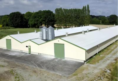 China Durable Steel Poultry House Automatic Feeding System Feeding Pan Poultry Equipment for sale