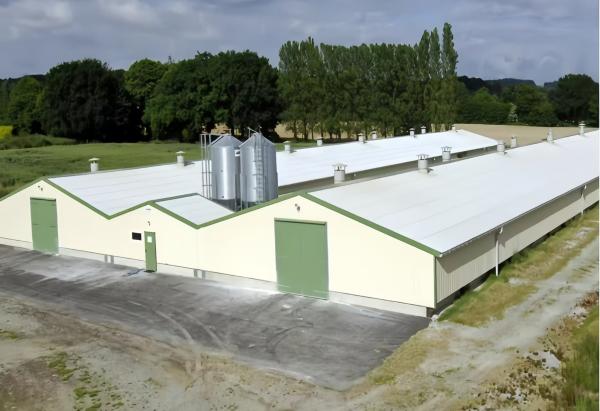 Quality Durable Steel Poultry House Automatic Feeding System Feeding Pan Poultry Equipment for sale