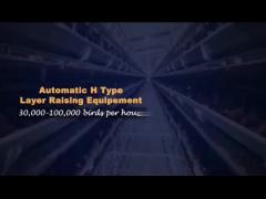 Custom H Type Broiler Rearing Cage , Full Automatic Broiler Cage System