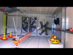 Modern Poultry Farm Chicken Farm Steel Structure Building Light Steel Structure Poultry House