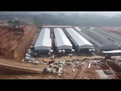 Fully Automatic Poultry Farm Equipment , Galvanized Poultry Farm Layer Cage