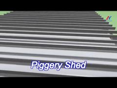 Customized Piggery Farm Equipment Fully Automatic Pig Wet Dry Feeder
