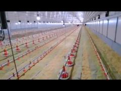 Equipamento de carne de frango