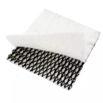China HDPE Mesh 3D Composite Drainage Composite Geo Net Geonet voor duurzame drainage oplossing Te koop