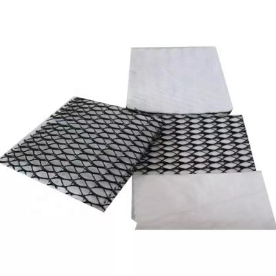 China HDPE Mesh 3D Composite Drainage Composite Geo Net Geonet voor duurzame drainage oplossing Te koop