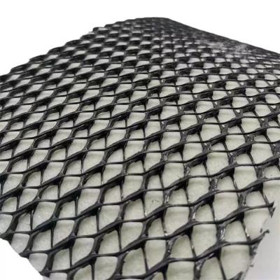 Cina densità Polietilene Certificazione di plastica Geocompositi Drenaggio GEONET per la lavorazione della terra in vendita
