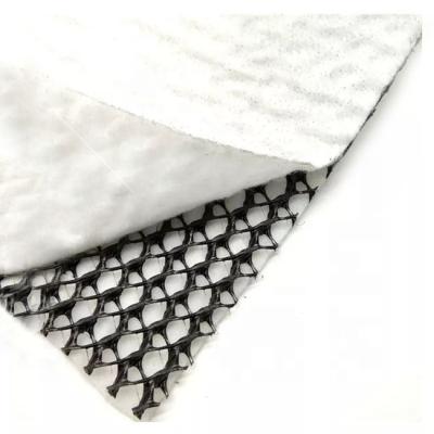 China HDPE Mesh 3D Composite Drainage Composite Geo Net Geonet Zwart Wit voor uw behoeften Te koop