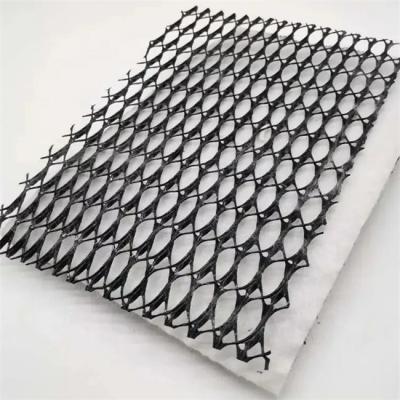China HDPE Mesh 3D Composite Drainage Composite Geo Net Geonet Zwart Wit voor uw behoeften Te koop