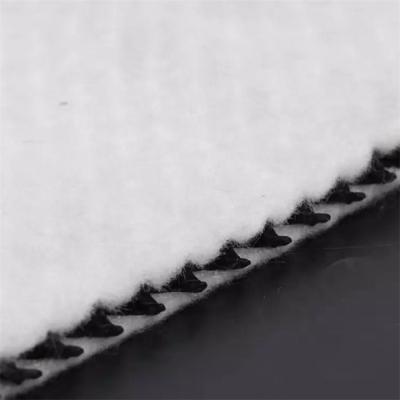 Cina Ottieni il tuo Geocomposite Industrial Drain 3D Composite Drainage Geonet ad un prezzo competitivo in vendita