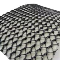 China HDPE 3D Tri-Planar Composite Drainage Net 2m-4m Width for Landfill and Tunnel Drainage for sale