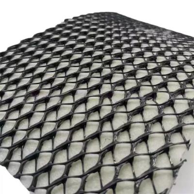 Китай Ширина 2 - 4 м Hdpe 3D трехплановая композитная дренажная сеть для общего решения проекта продается