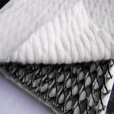 Cina Intercategorie Consolidazione Geotessili compositi Plastiche Geonet Rete di drenaggio per strade in vendita