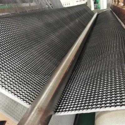 Cina CE/ISO9001/ISO14001 Certificato HDPE 3D Composite Drainage Geonet per progettazione industriale in vendita