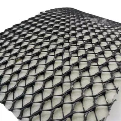 China CE/ISO9001/ISO14001 Certificado Rede de drenagem 3D Geonet de base de estrada para construção estável à venda