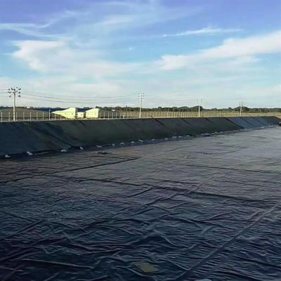 Cina Fogli di geomembrana doppia liscia in HDPE per rivestimenti impermeabilizzanti per stagni Larghezza 1m-8m in vendita