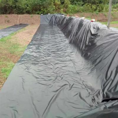 Cina Fogli di geomembrana doppia liscia in HDPE per rivestimenti impermeabilizzanti per stagni Larghezza 1m-8m in vendita