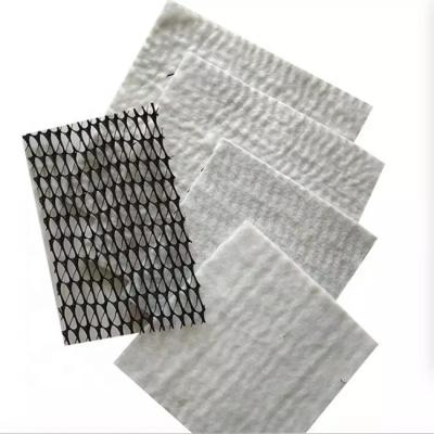 Китай Hdpe Пластмассовая 3d Триплональная композитная дренажная сеть Сеть геонет для индивидуальной длины продается
