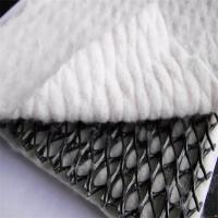 China HDPE Plastic 3D Triplanar Composite Drainage Geonet 7mm Thickness 1400gsm for sale