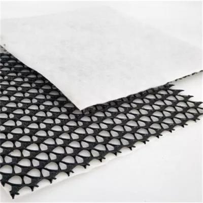 Китай Hdpe Пластмассовая 3d Триплональная композитная дренажная сеть Сеть геонет для индивидуальной длины продается