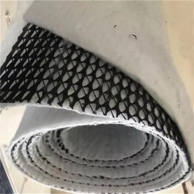 China 3D-Verbund-Drainage-Netz Dichte Polyethylen-Kunststoff für Sportplätze und Deponien zu verkaufen