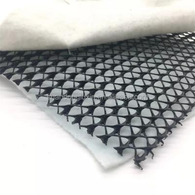 Китай Плотность полиэтиленовая пластмасса 3d композитная дренажная сеть Geonet плотины для химической шлакозавода продается