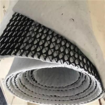 Китай Luxin Road Base Geonet 3d Composite Drainage Net 3d Geonet с бесплатными запасными частями продается