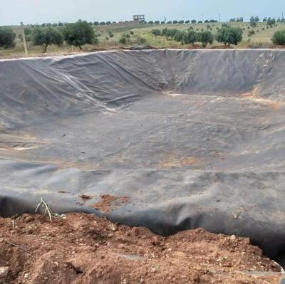 Cina 0.1mm-3.0mm HDPE Solmax Permavoid impermeabile Geotextile Membrana per elevata flessibilità in vendita