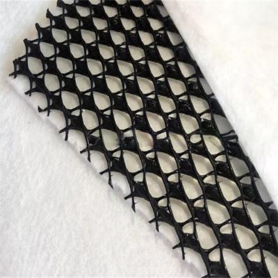 China Drainage wegen met dichtheid polyethyleen plastic geonet mesh en vegetatieve dekking Te koop