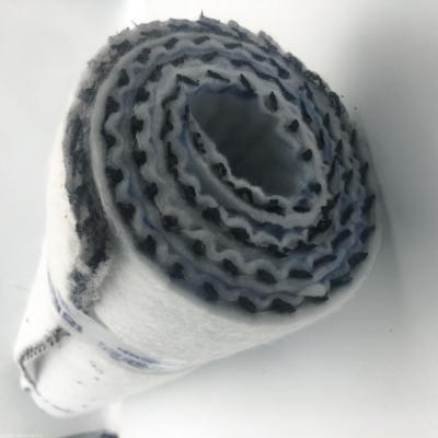 Китай HDPE Mesh 3D Composite Drainage Composite Geo Net Geonet для резервуаров Длина 100 м продается