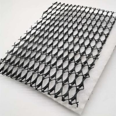 Китай HDPE Mesh 3D Composite Drainage Composite Geo Net Geonet для резервуаров Длина 100 м продается