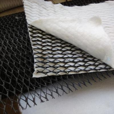 Китай HDPE Mesh 3D Composite Drainage Composite Geo Net Geonet для резервуаров Длина 100 м продается