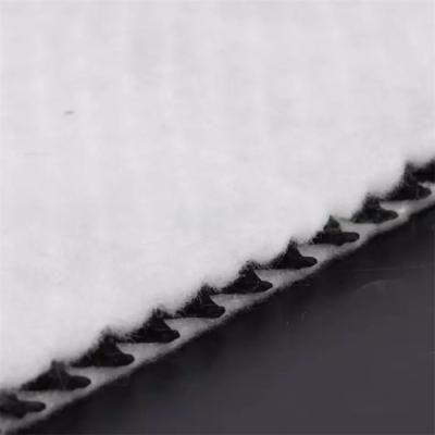 中国 ジオテクステイルとジオネットから作られたポリエチレン網 3D複合排水網 販売のため