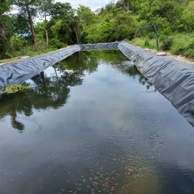 中国 地膜 1mm 2mm 防水タンク ダム 敷き布団 泳池 魚 池 農場 敷き布団 HDPE 販売のため