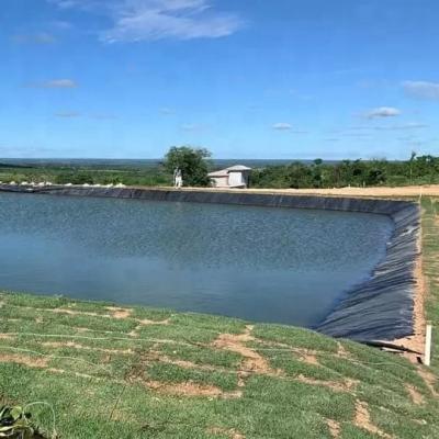 中国 標本 湖のタンク ダムの敷き布団 水泳池 魚の池 養殖場 販売のため