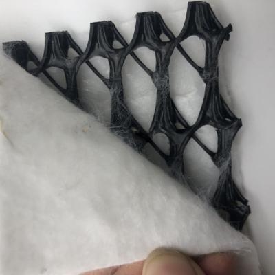 Cina Buona permeabilità all'acqua Semplice costruzione Drenaggio composto 3D Geonet per drenaggio in vendita