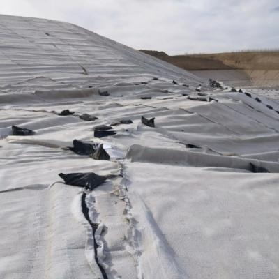 Cina Buona permeabilità all'acqua Semplice costruzione Drenaggio composto 3D Geonet per drenaggio in vendita