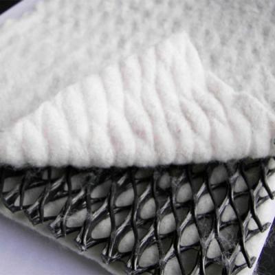 China 3D Composite Drainage Geonet voor gemeentelijke werken en stortplaatsen Te koop