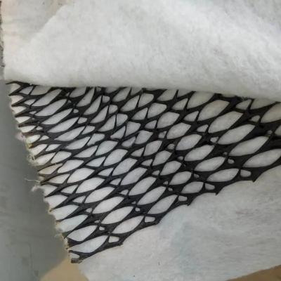 China 3D Composite Drainage Geonet voor gemeentelijke werken en stortplaatsen Te koop