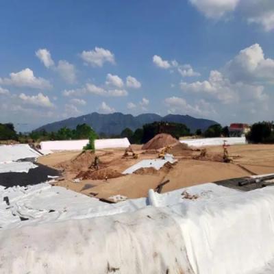 China 3D Composite Drainage Geonet voor gemeentelijke werken en stortplaatsen Te koop