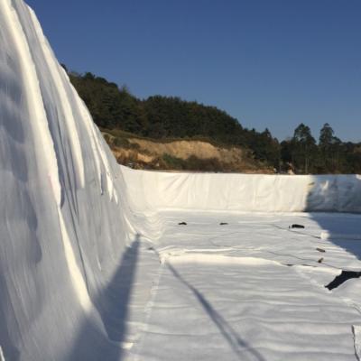 China 3D-composite drainage Geonet voor spoorweg- en snelwegtunnels Te koop