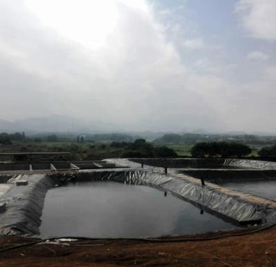 Cina Geomembrana verde impermeabile per serbatoi artificiali di laghi in vendita