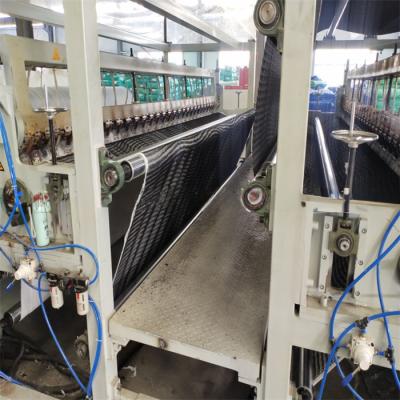Cina 3d Geonet composito per il drenaggio nelle discariche in vendita