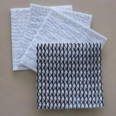 中国 50m/100m 長さ HDPE メッシュ 3D複合排水複合地質網 黒白 販売のため