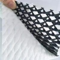 China High Density Polyethylene Composite Geonet 7mm Road Drainage Solution 3000Ka for sale
